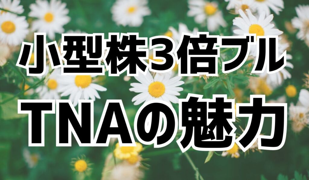 TNA 小型株ブル3倍ETFの魅力 - らくだの米国株投資🚀